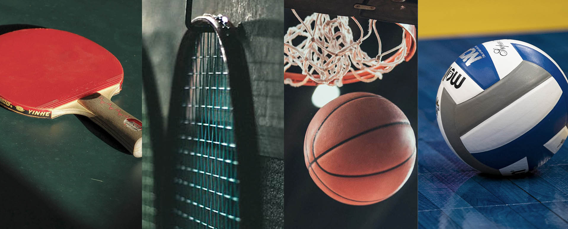 SYNERGY SPORTS – Indoor Sports Centre
