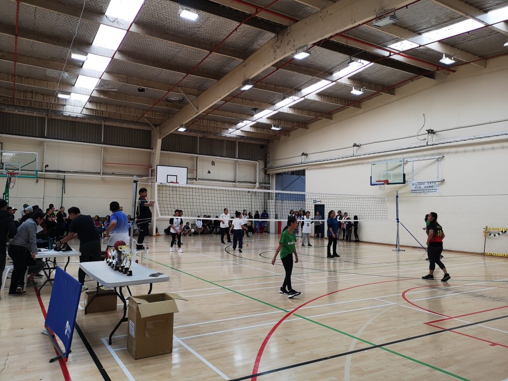 Gallery – SYNERGY SPORTS